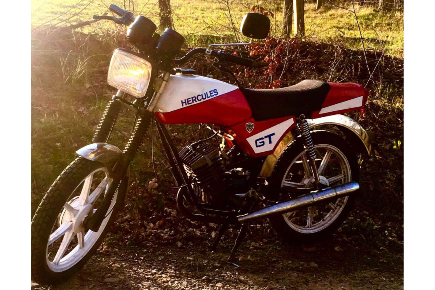 «HERCULES» | mofakult