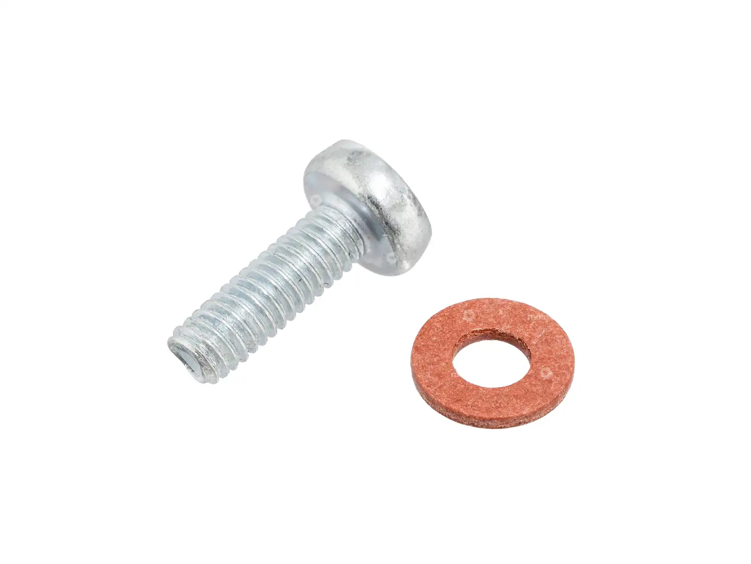 BING Screw & sealing ring fuel inlet Bing 17, 18 | mofakult